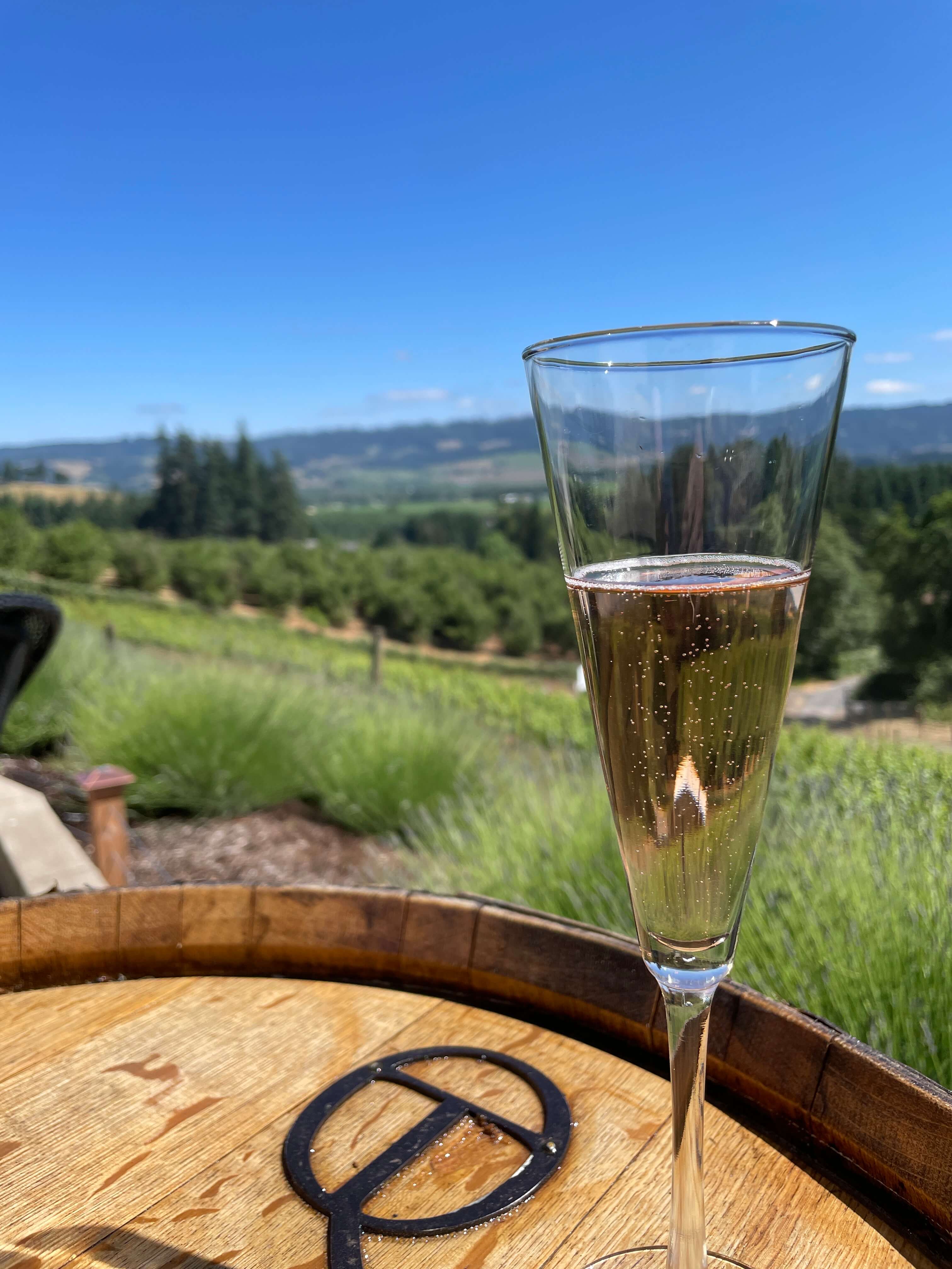 Envie De Vin: Oregon Wine Tours in Dundee & Willamette Valley